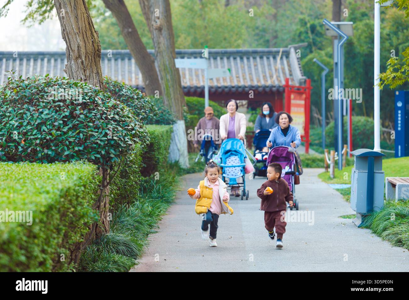 Early winter scenery at a park in Rizhao City, east China's Shandong ...