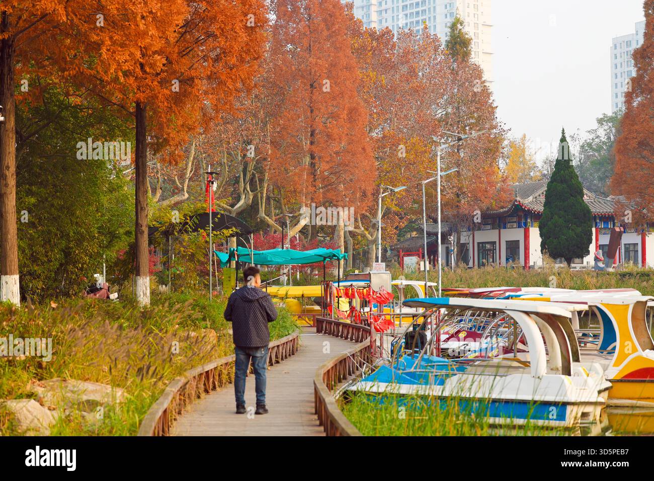 Early winter scenery at a park in Rizhao City, east China's Shandong ...