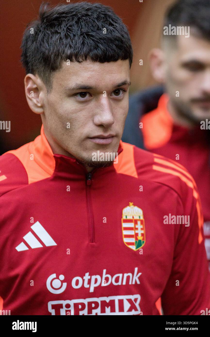Budapest, Hungary. 16th, November 2025. Damir Redzic of Hungary seen at ...