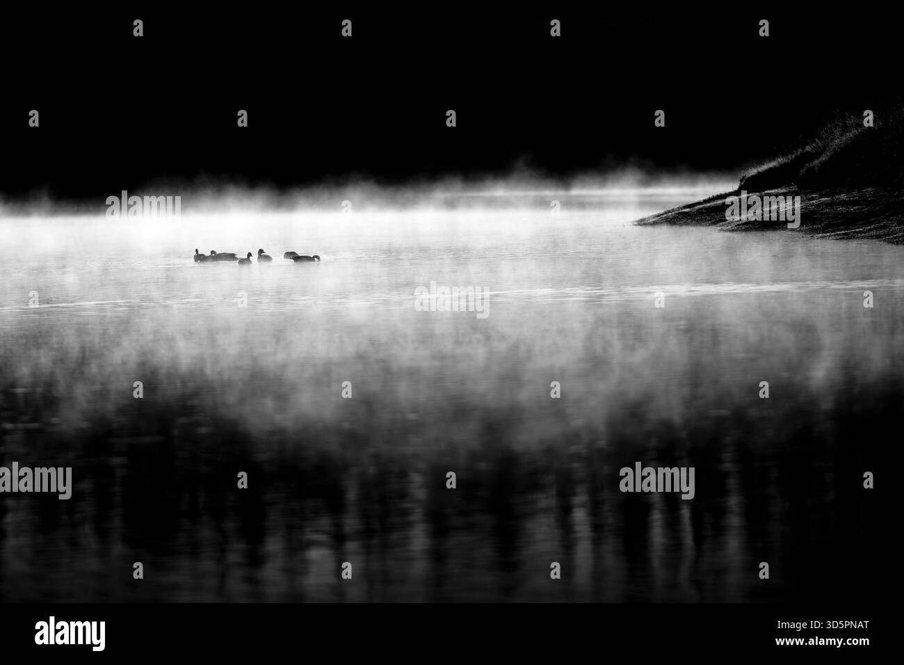 Lake wyoming Black and White Stock Photos & Images - Alamy