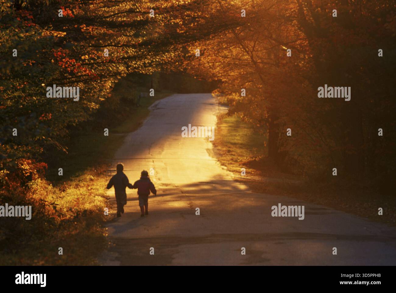 Rear view of two children, ME USA Stock Photo - Alamy