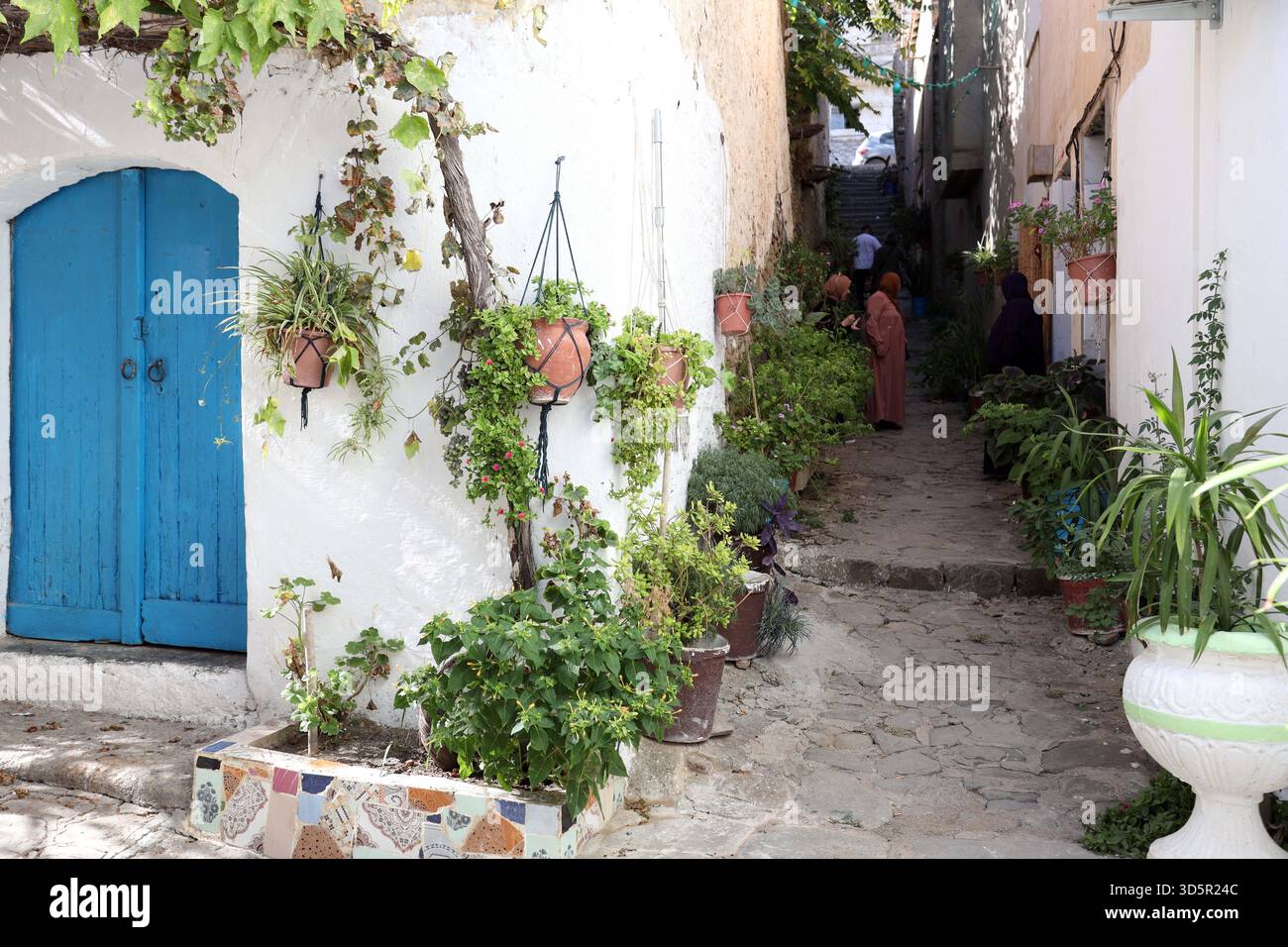 Photo Taken on November 13, 2025, shows the Kasbah of Dellys, built in ...