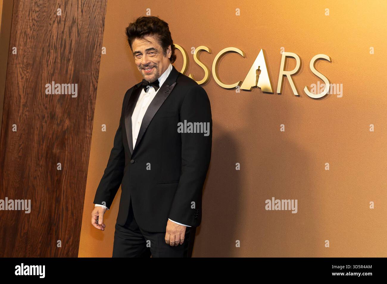 Benicio del Toro attends the arrivals of the 16th Governors Awards at ...