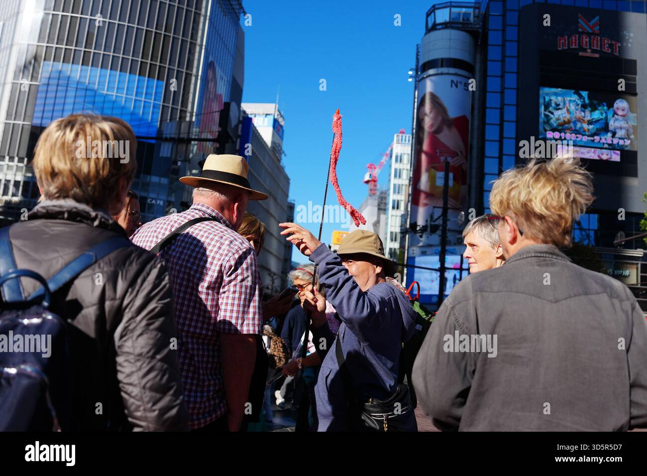 (251117) -- TOKYO, Nov. 17, 2025 (Xinhua) -- Tourists are seen near the ...