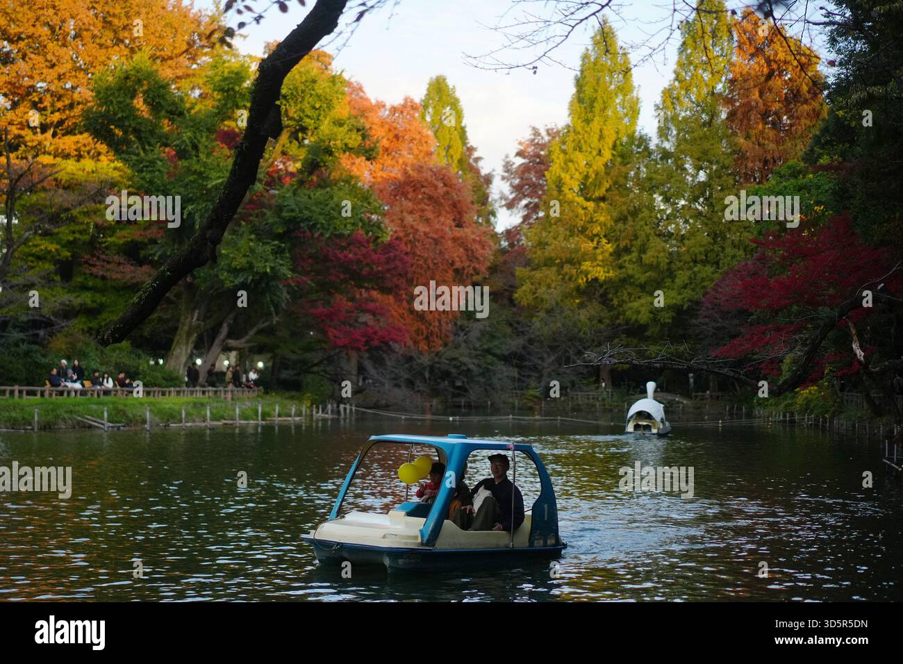 (251117) -- TOKYO, Nov. 17, 2025 (Xinhua) -- Tourists take a boat for ...