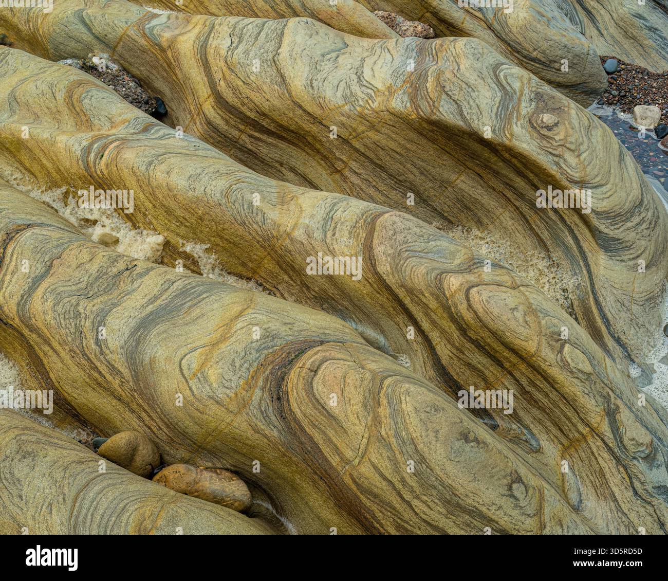Sandstone rock spittal beach hi-res stock photography and images - Alamy