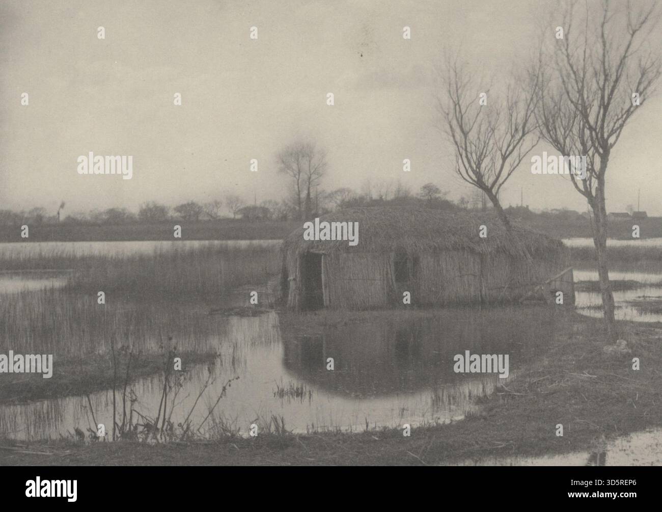 This 1886 photograph by Peter Henry Emerson and TF Goodall depicts a ...