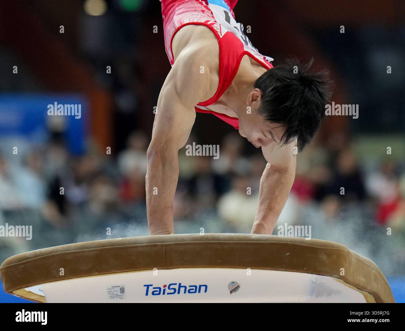 (251117) -- ZHAOQING, Nov. 17, 2025 (Xinhua) -- Chen Yilu of Zhejiang ...