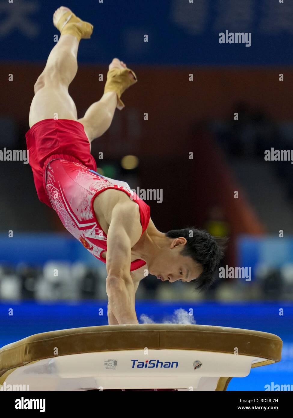 (251117) -- ZHAOQING, Nov. 17, 2025 (Xinhua) -- Chen Yilu of Zhejiang ...