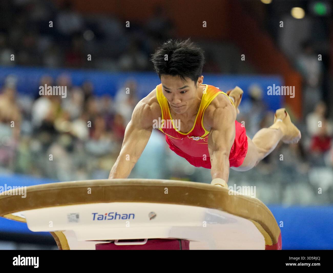 (251117) -- ZHAOQING, Nov. 17, 2025 (Xinhua) -- Li Hongyan of Sichuan ...