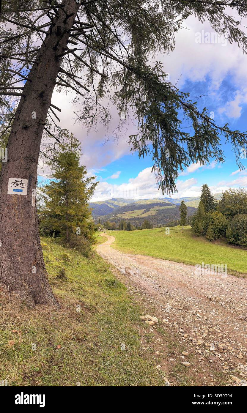 Sunny hillside trail winds hi-res stock photography and images - Alamy