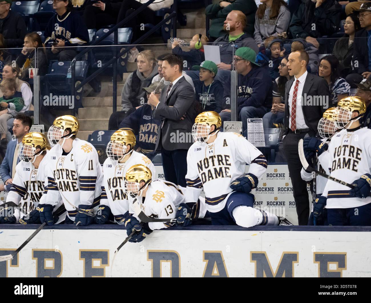 SOUTH BEND, IN - NOVEMBER 14: Notre Dame Fighting Irish head coach ...
