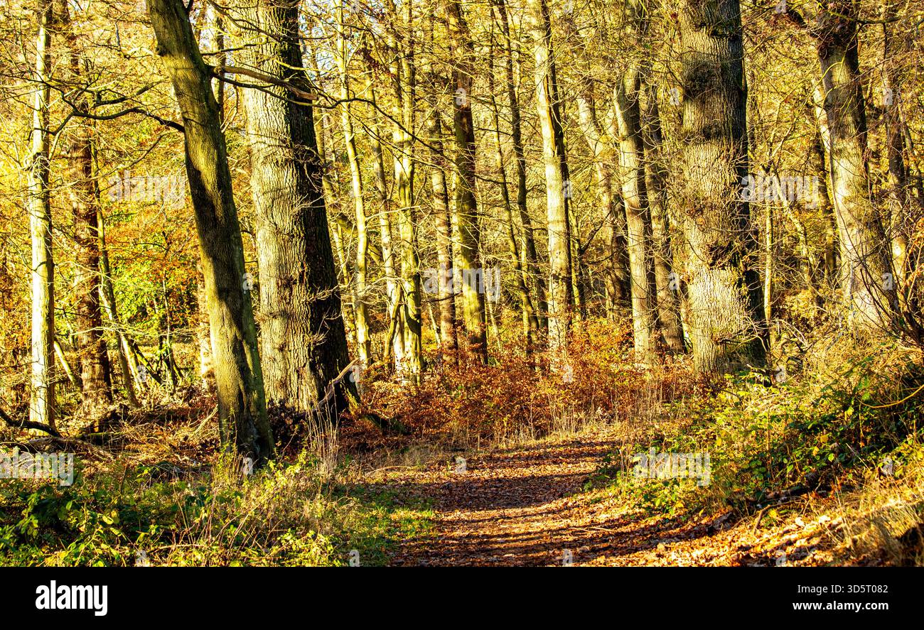 Dundee, Tayside, Scotland, UK. 17th Nov, 2025.UK Weather: Frosty and ...