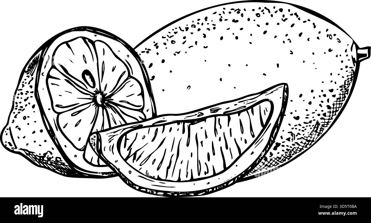 Fresh citrus detox drink Stock Vector Images - Alamy