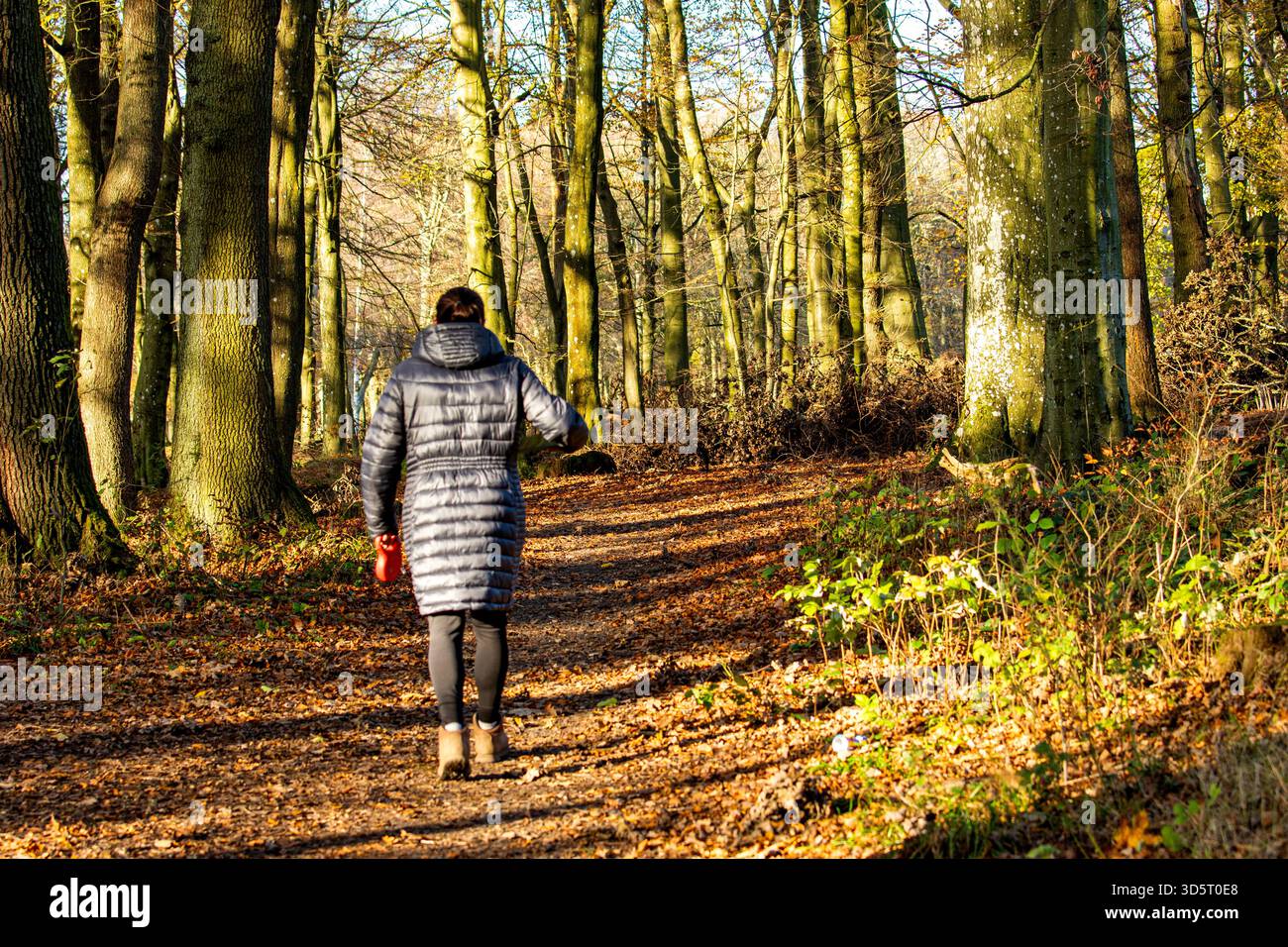 Dundee, Tayside, Scotland, UK. 17th Nov, 2025.UK Weather: Frosty and ...