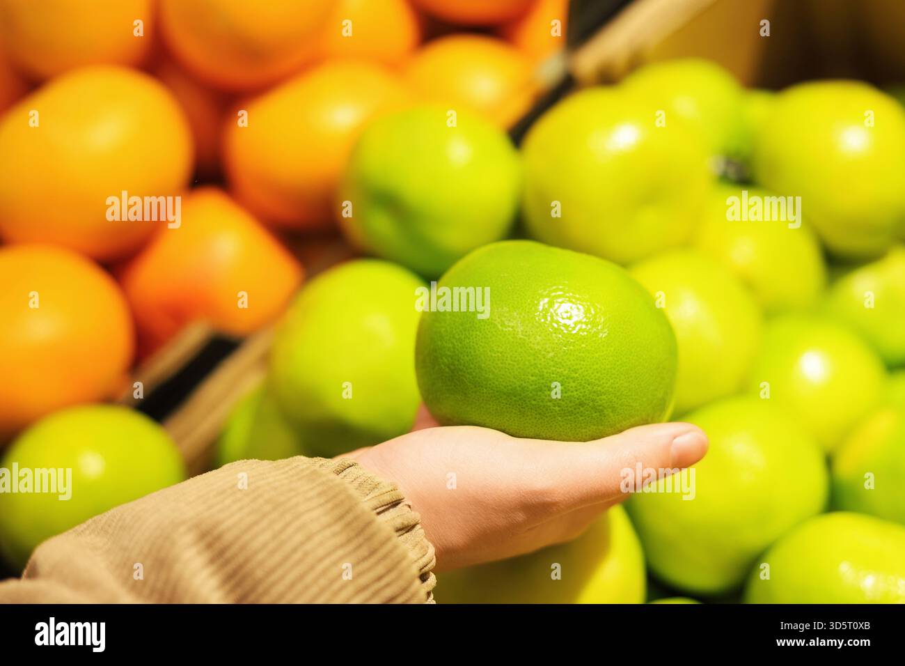 A person's hand holds a large, bright green citrus fruit pomelo over a ...