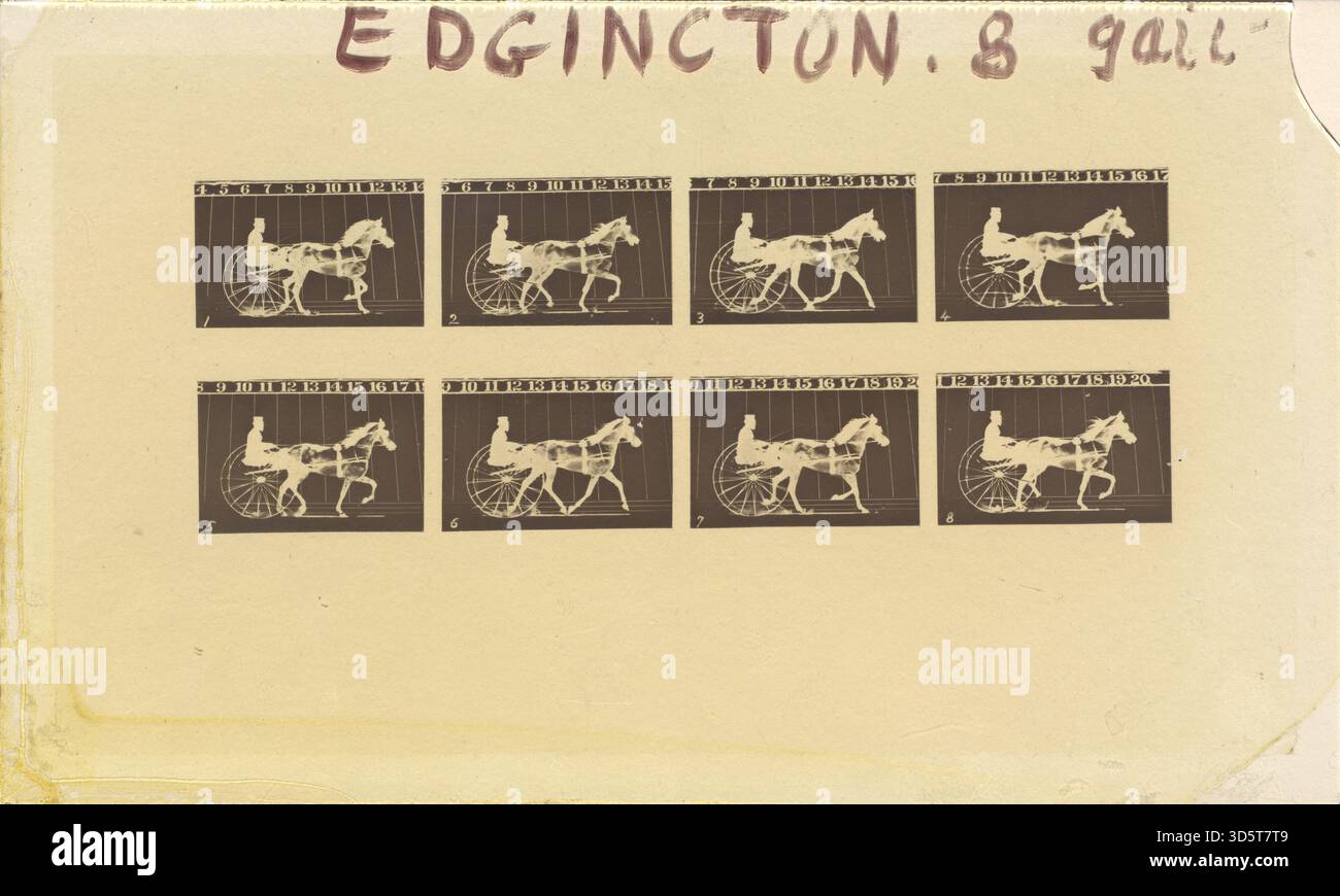 Internegative for Horses Trotting, Abe Edgington, No. 28, 1878, by ...