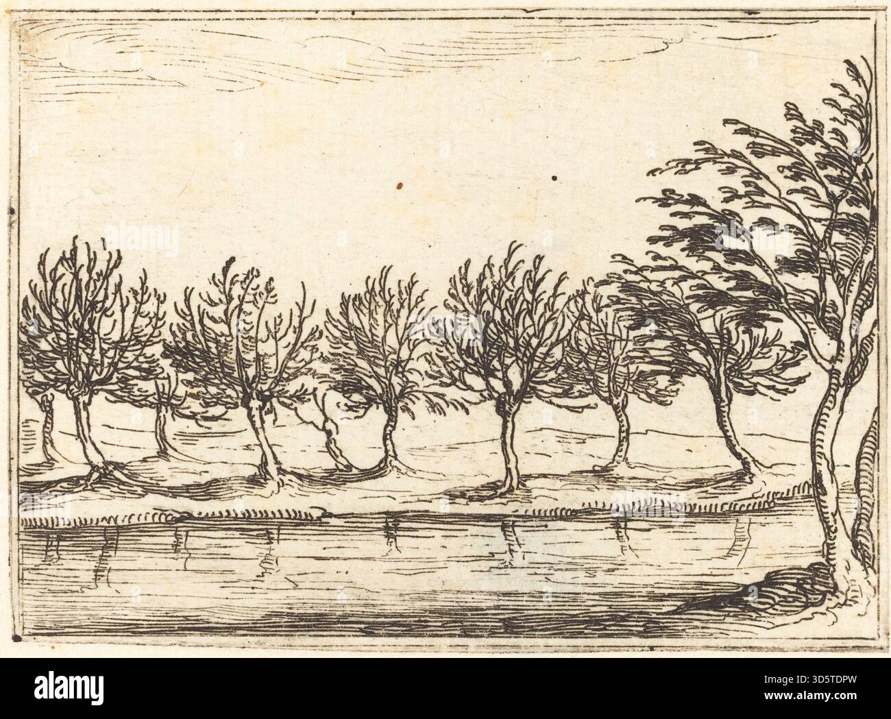 An engraving by Jacques Callot from 1628 showing willows along the ...