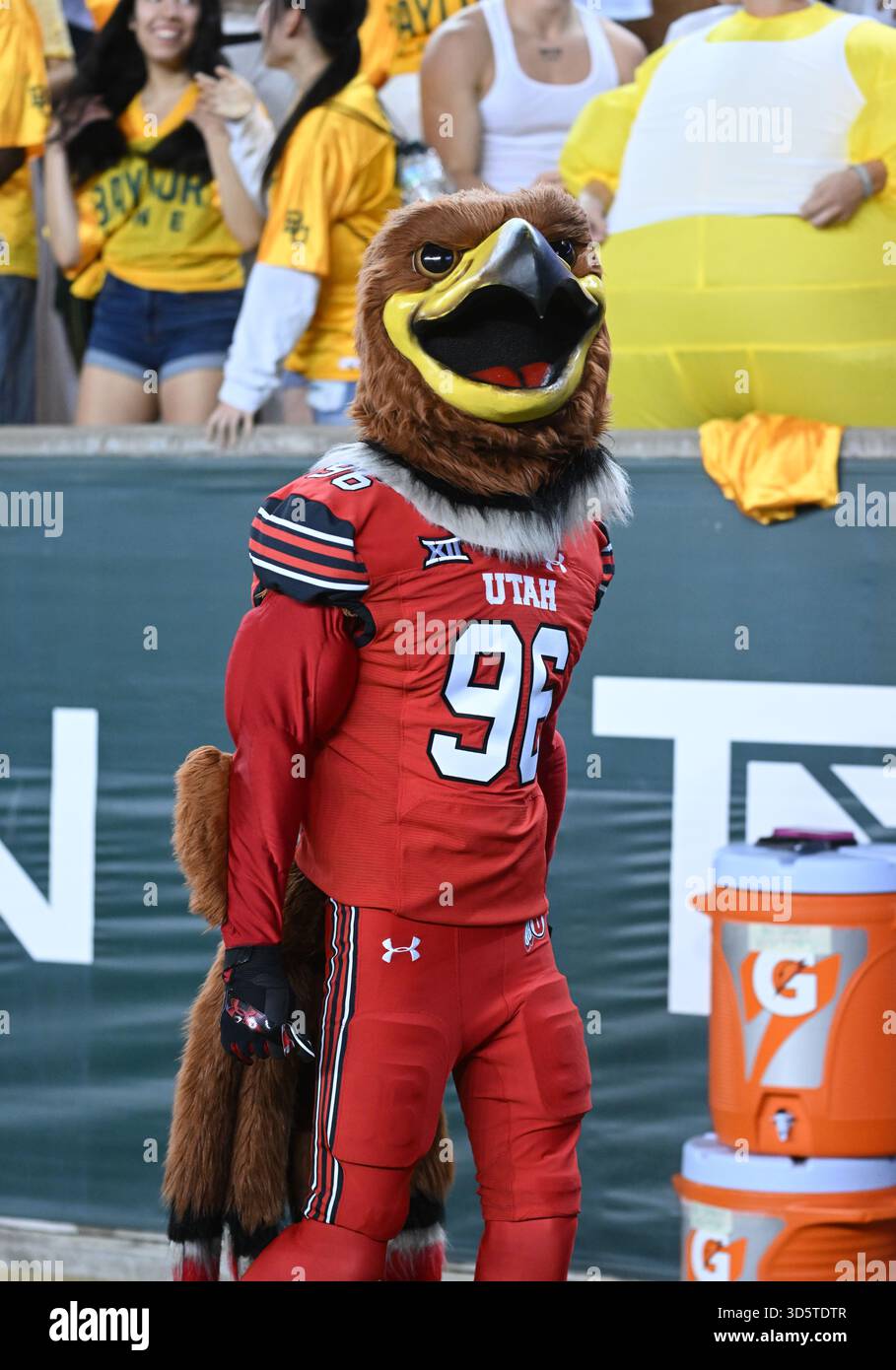 WACO, TX - November 15: Swoop, the Utah Utes mascot cheers during game ...