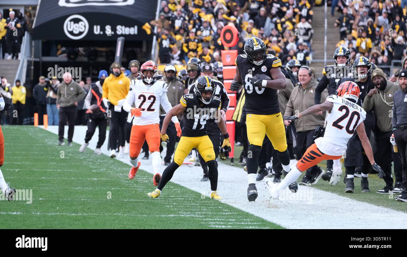 Nov 16, 2025: Darnell Washington #80 during the 2025 Steelers vs ...