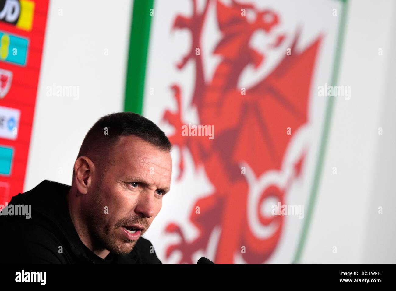 Wales head coach Craig Bellamy during a press conference at the Vale ...