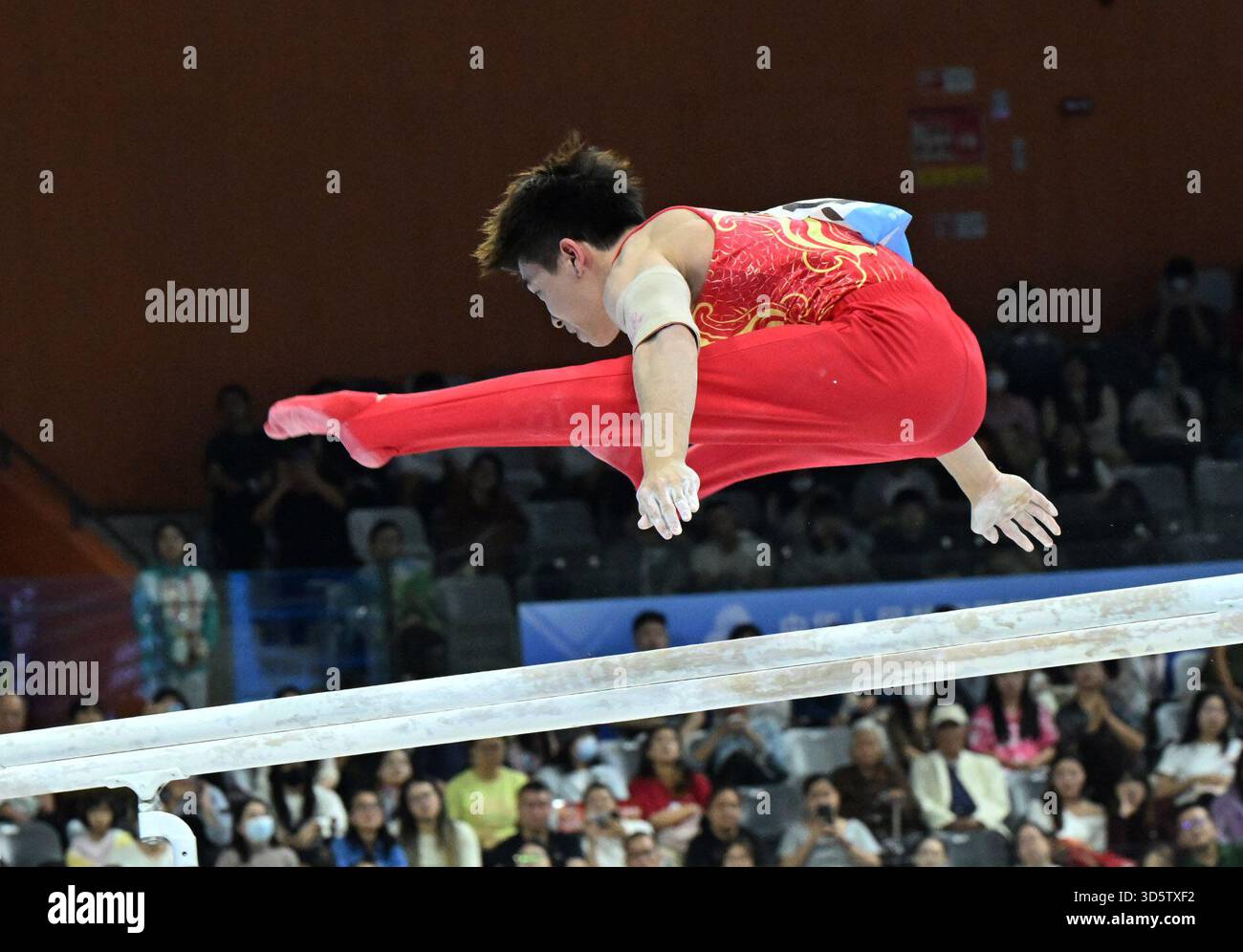 (251117) -- ZHAOQING, Nov. 17, 2025 (Xinhua) -- Wu Xiaoming of ...