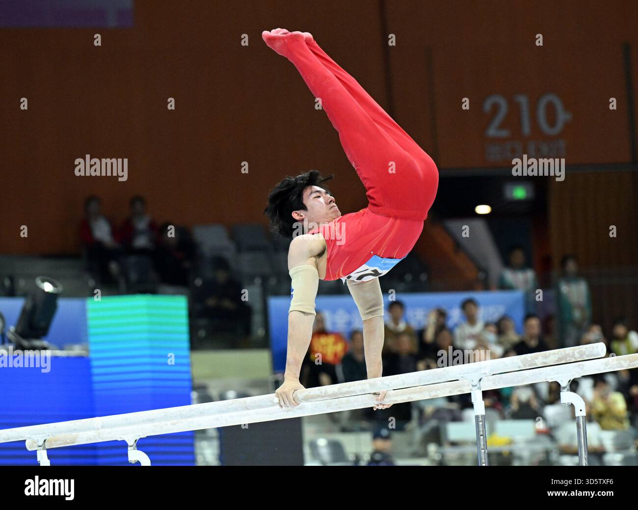 (251117) -- ZHAOQING, Nov. 17, 2025 (Xinhua) -- Zhang Boheng of Hunan ...