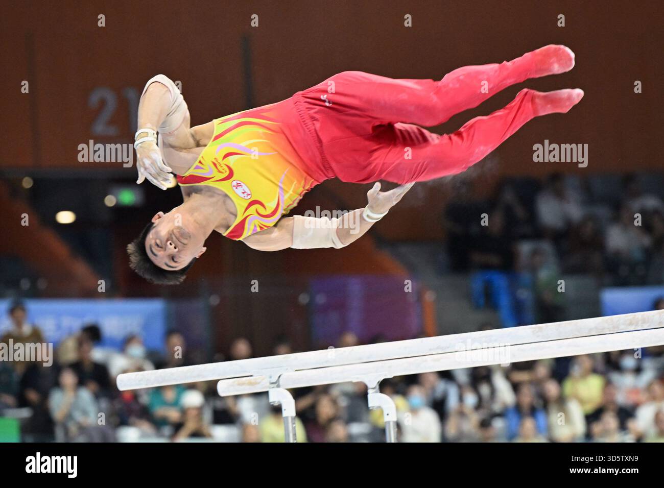 (251117) -- ZHAOQING, Nov. 17, 2025 (Xinhua) -- Sun Wei of Jiangsu ...