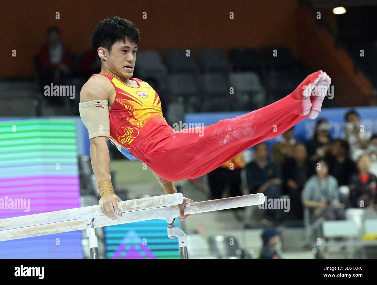 (251117) -- ZHAOQING, Nov. 17, 2025 (Xinhua) -- Shi Cong of Jiangsu ...