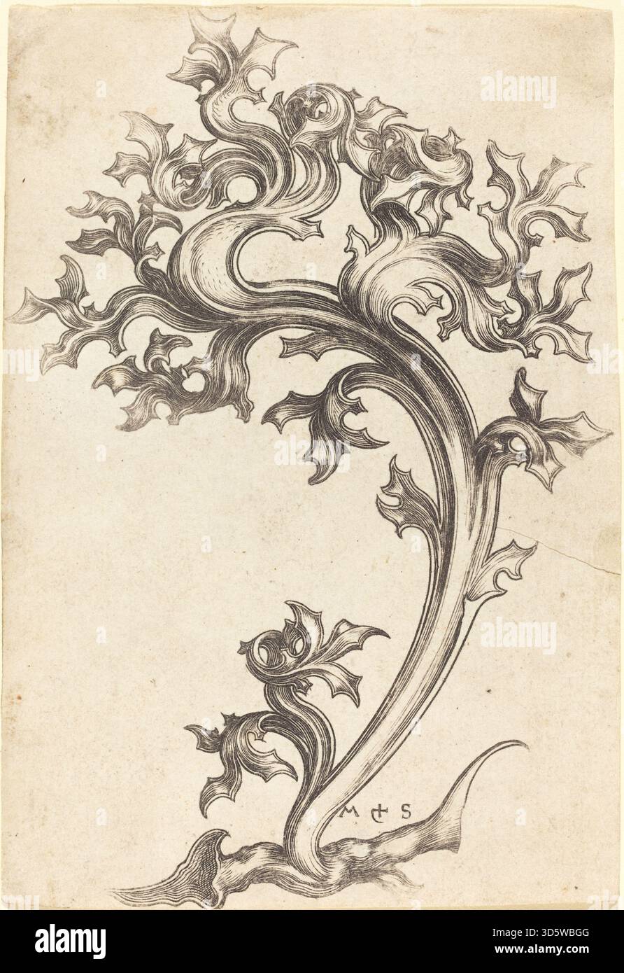 Reflects traditional botanical illustration techniques hi-res stock ...