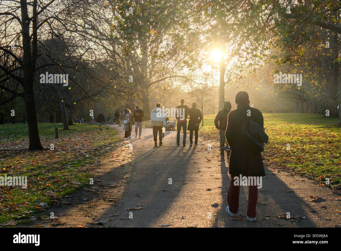 London, UK. 17th Nov 2025. UK Weather: The low autumn sun in London. St ...