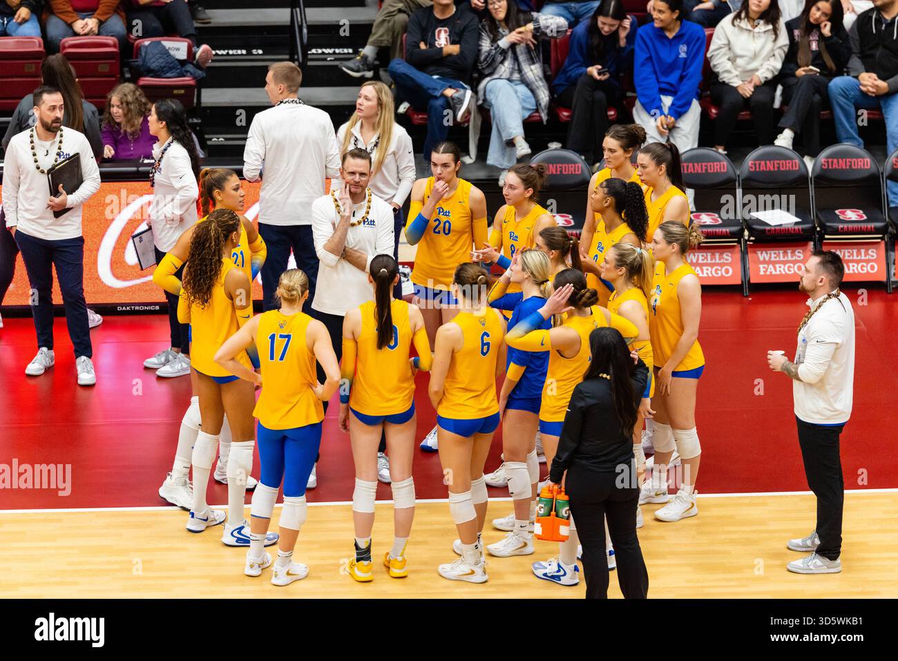 PALO ALTO, CA - NOVEMBER 14: The Pittsburgh Panthers huddle during a ...