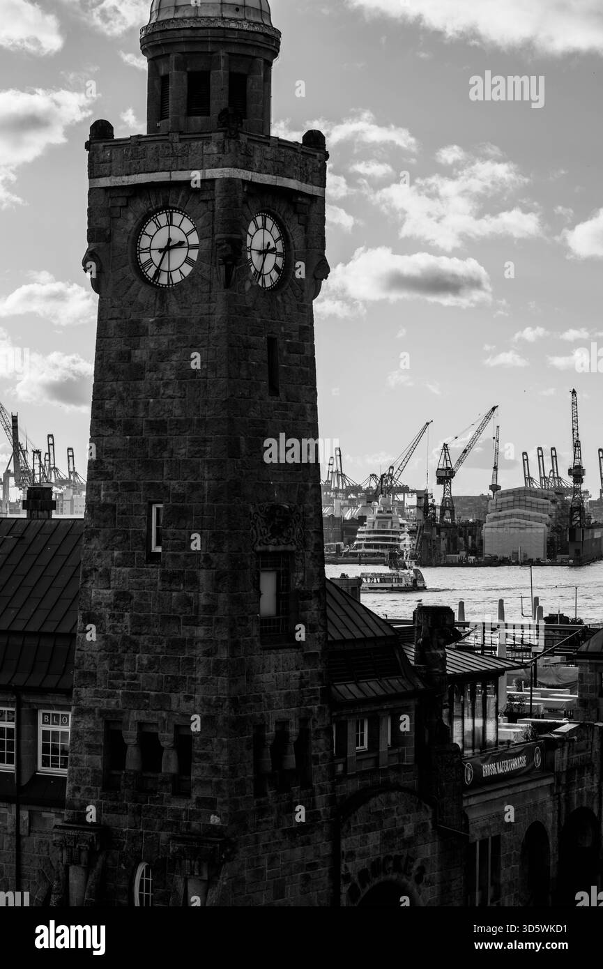 Deutschland, Hamburg, Dock 11, BlohmVoss, Werft, verhülltes Schiff ...