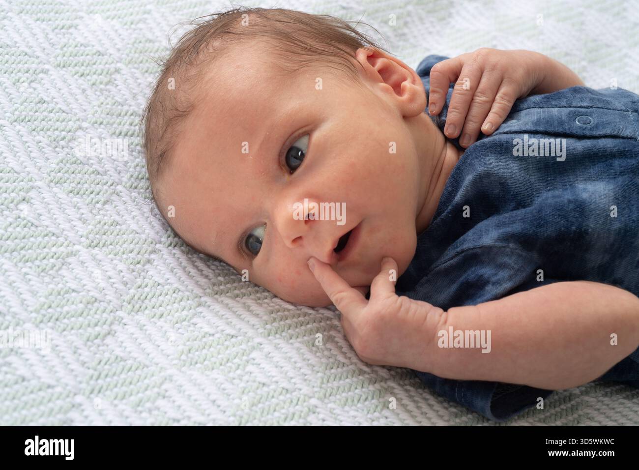 Newborn baby boy, 3 weeks old, closeup, on back, alert portrait ...
