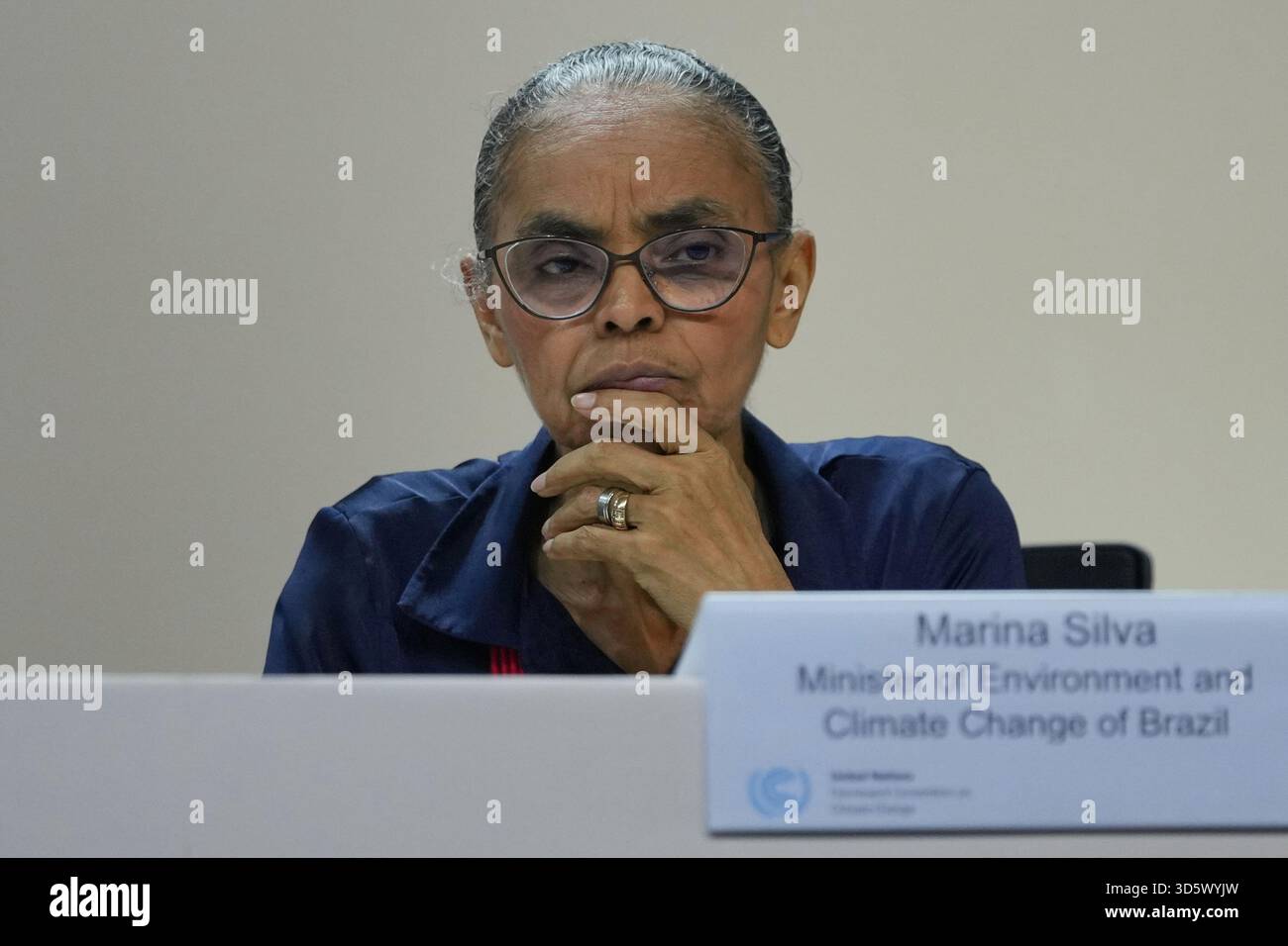 Marina Silva, Brazil environment minister, attends a news conference ...
