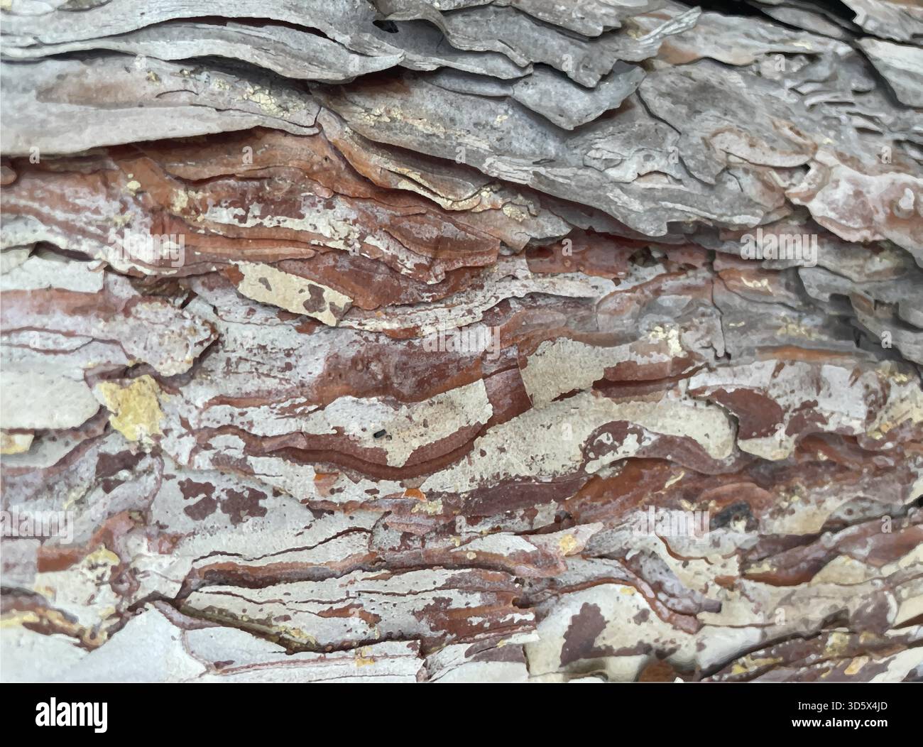 Tree trunk structure bark Stock Vector Images - Alamy