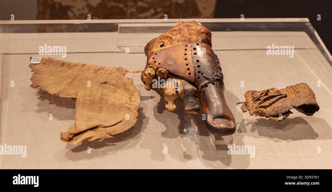 A leather and wood prosthetic big toe dating to about 1000 BC on ...
