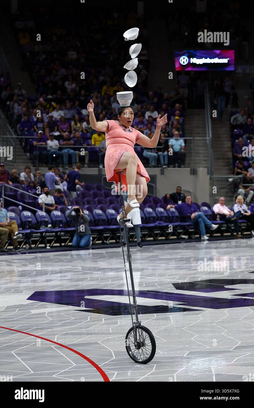 FORT WORTH, TX - NOVEMBER 14: Red Panda performs during halftime during ...