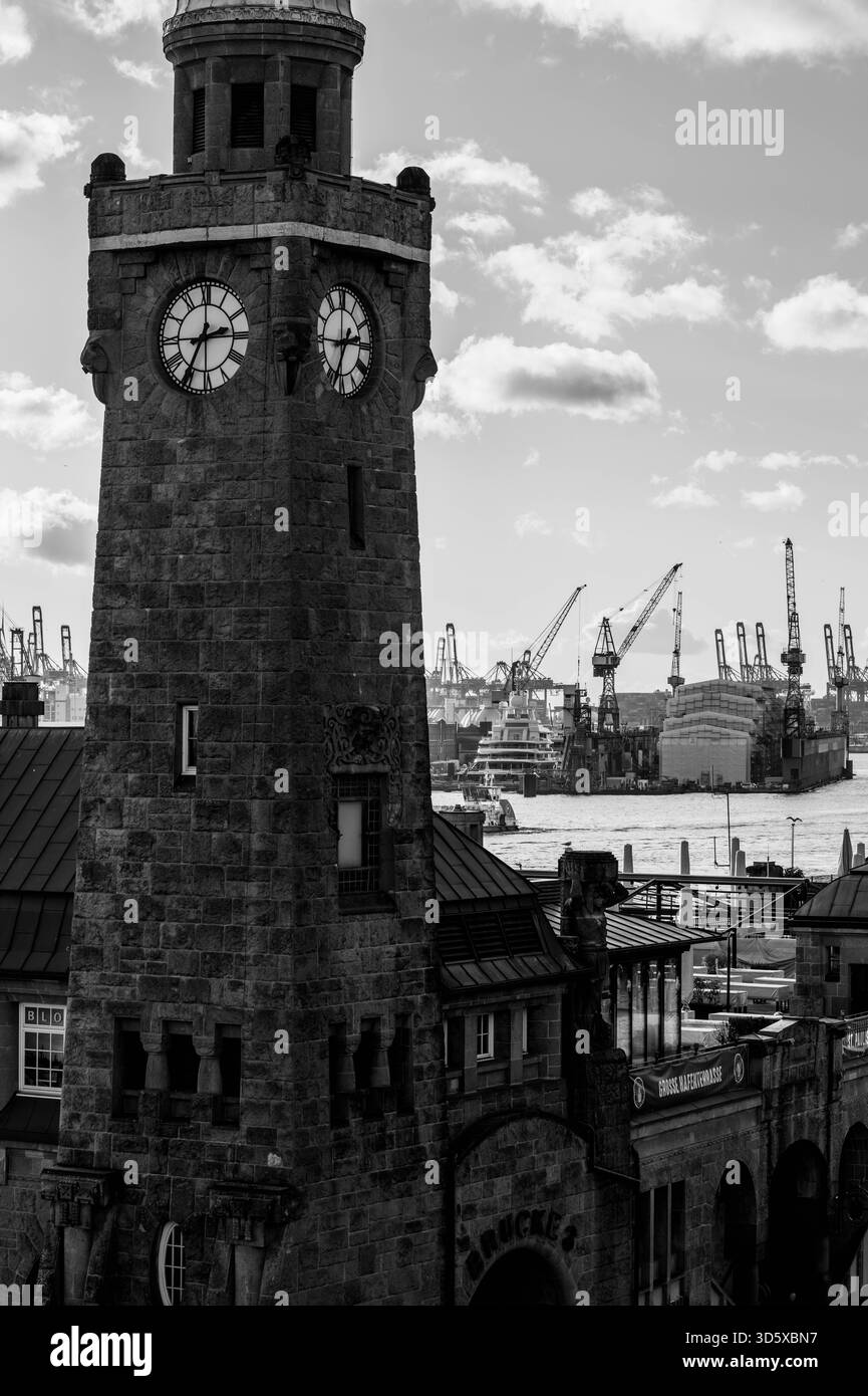 Deutschland, Hamburg, Dock 11, BlohmVoss, Werft, verhülltes Schiff ...