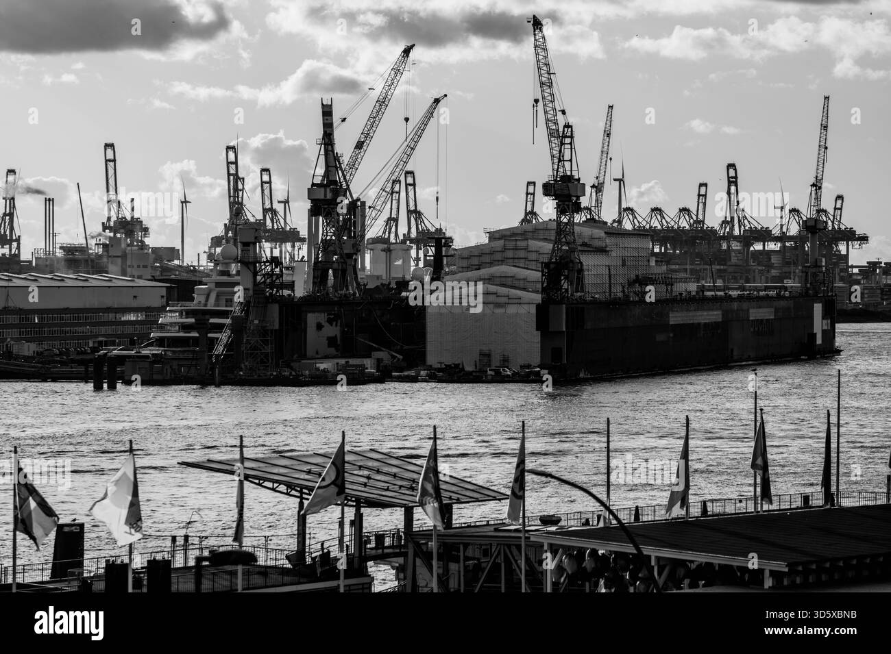 Deutschland, Hamburg, Dock 11, BlohmVoss, Werft, verhülltes Schiff ...