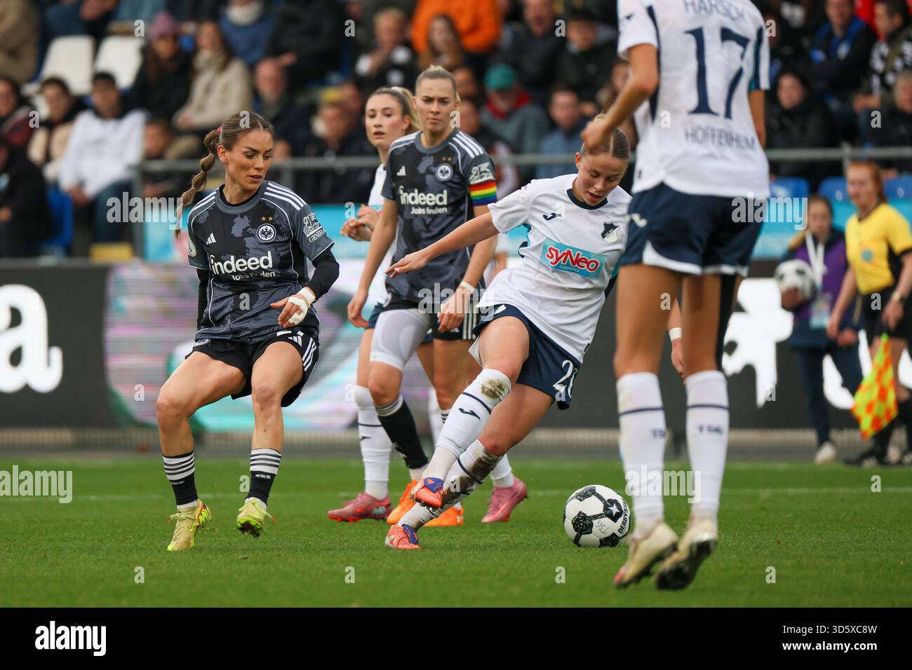 Sinsheim, Germany November 16, 2025: DFB Cup Women - Round of 16 - 2025 ...