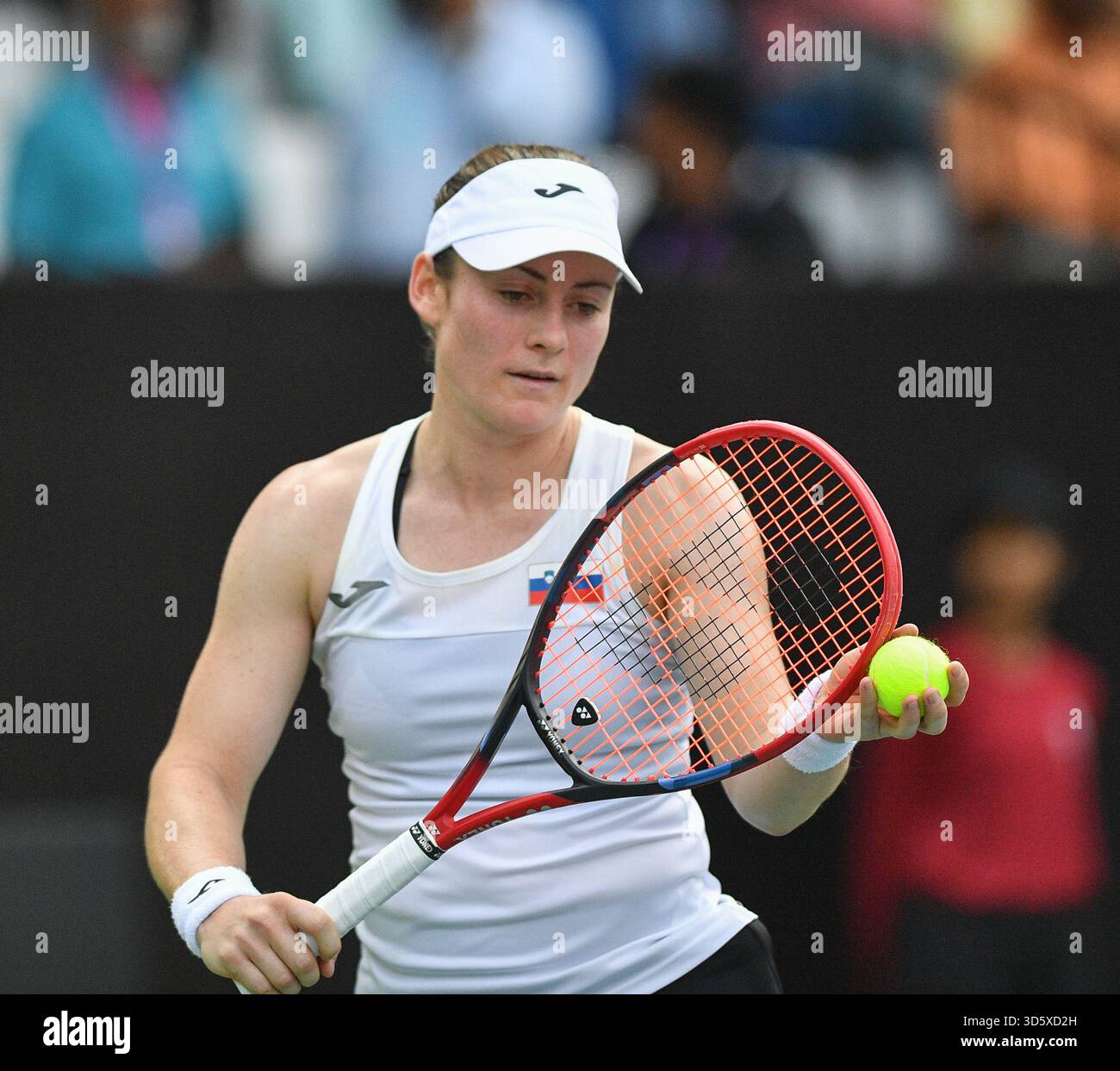 Bengaluru, India. 15th Nov, 2025. Tamara Zidansek (SVN) on action ...