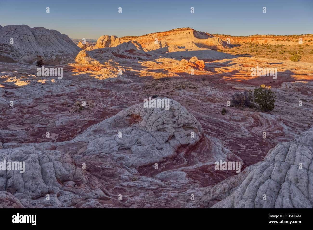 Sandstone formations in White Pocket on top of the Paria Plateau of ...