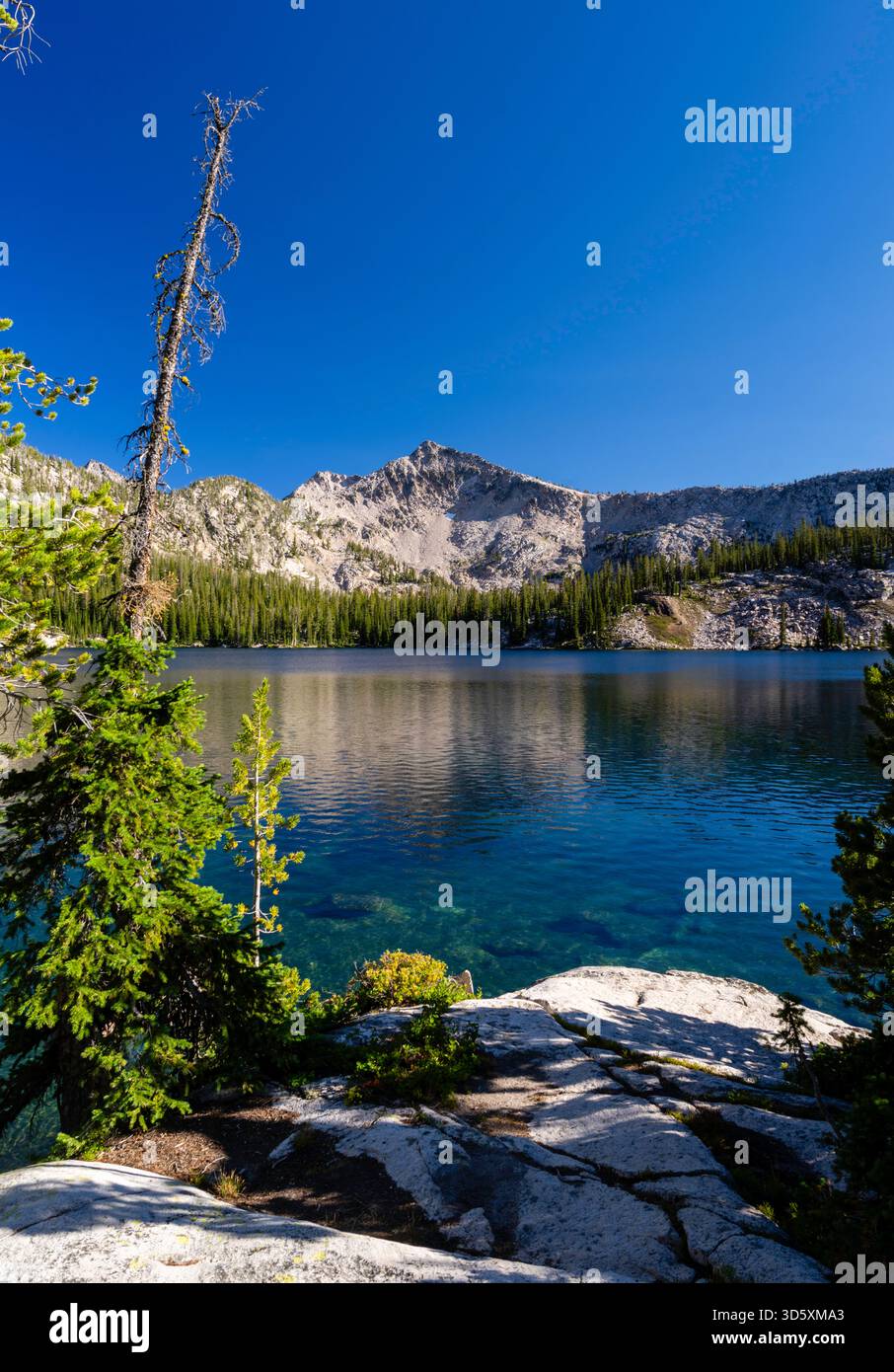 View of the Sawtooths Wilderness and Rendezvous, with Virginia Lake in ...