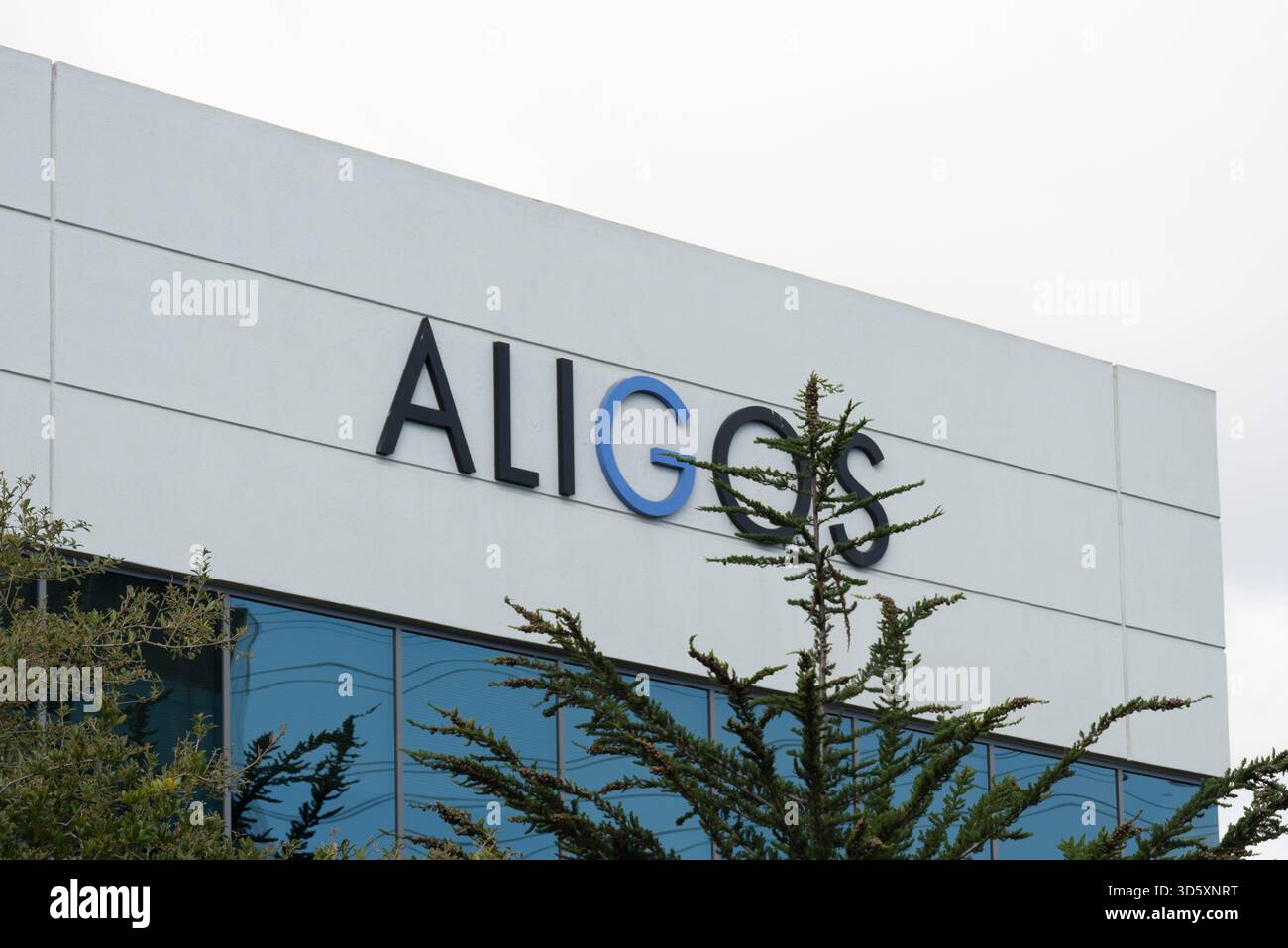 Aligos logo on exterior of office building with reflective windows and ...