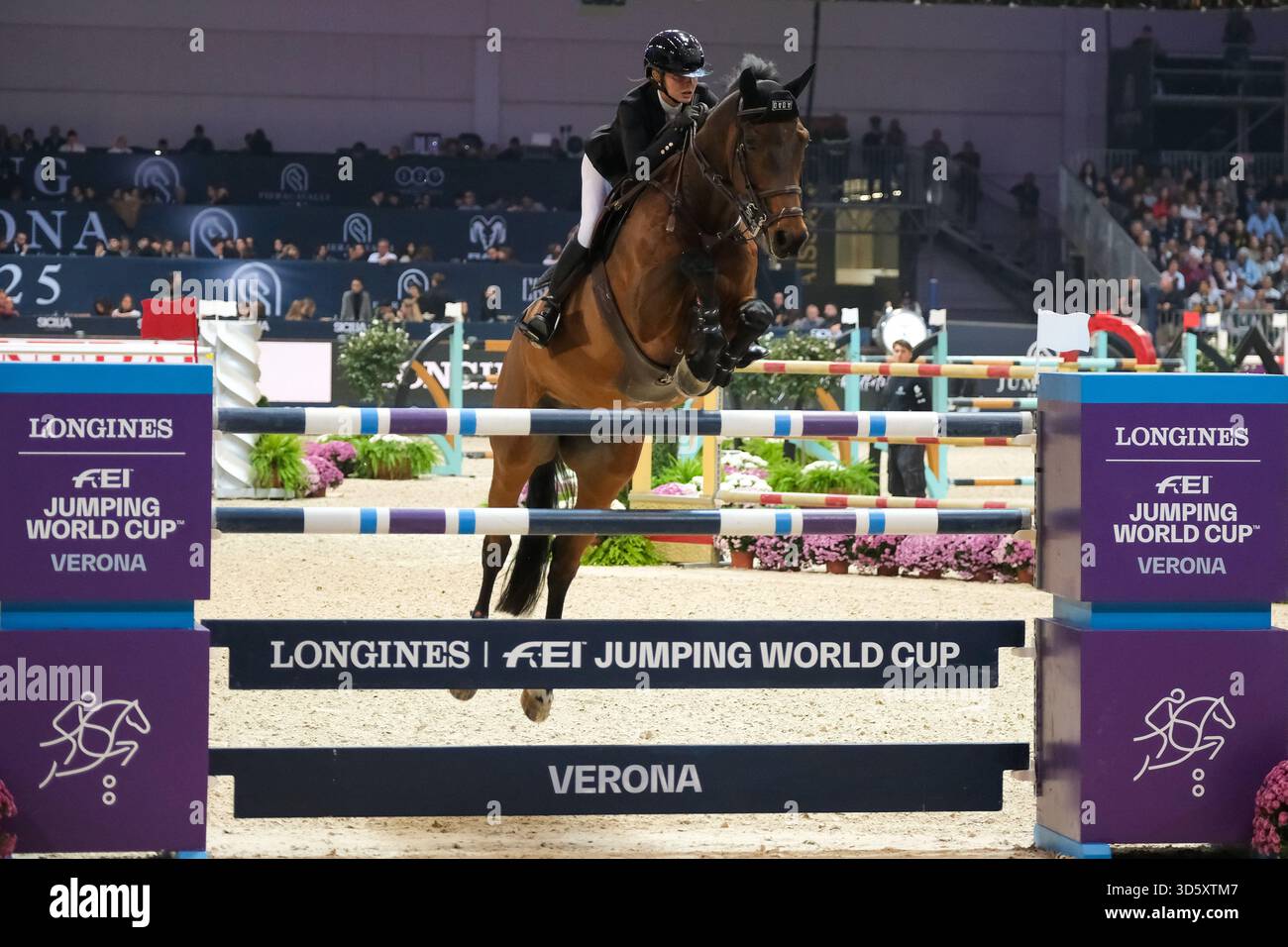 Jennifer Hochstaedter from Liechtenstein, ride Winnetou de la Hamente Z ...