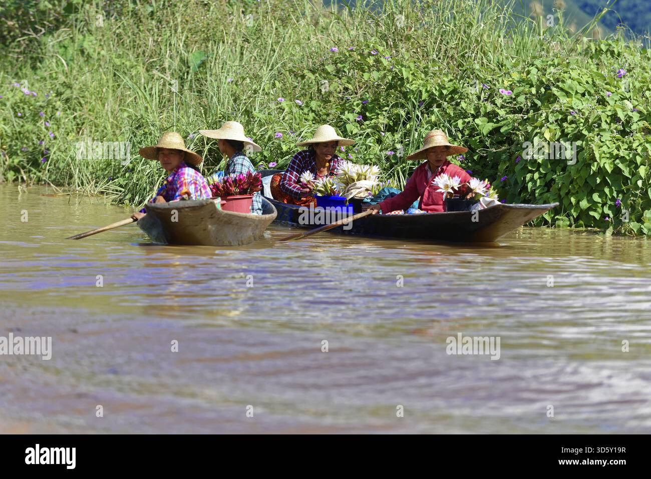 Four woman wearing straw hats transport flowers in small boats on the ...
