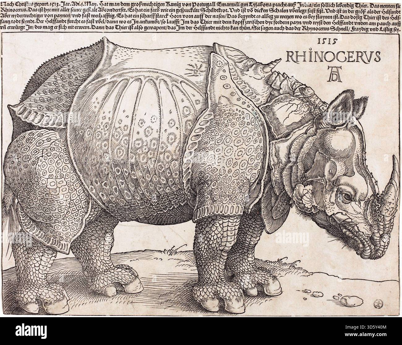 This enhanced print of a rhinoceros emphasizes the animal's skin ...