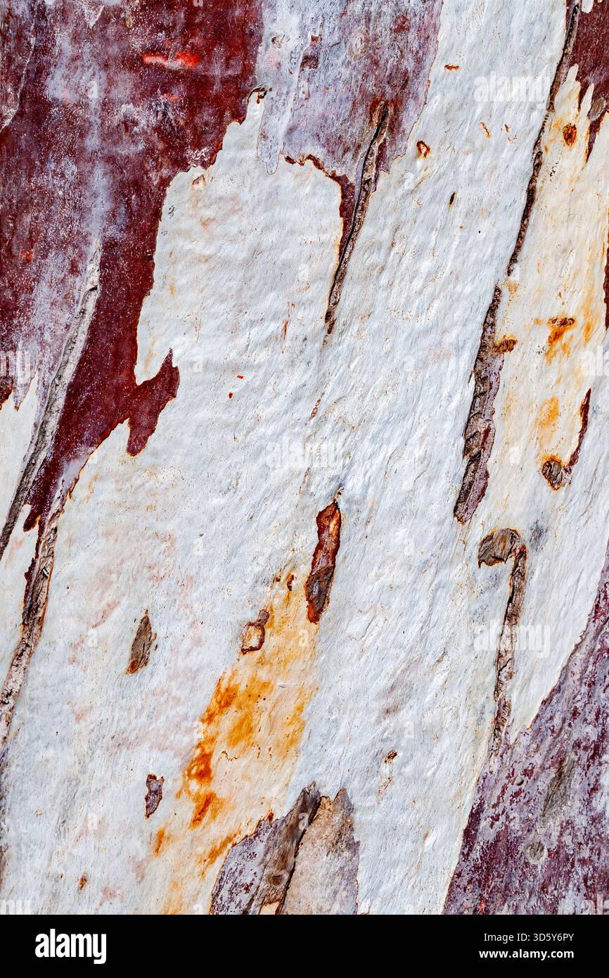Rare timber unique in colour hi-res stock photography and images - Alamy