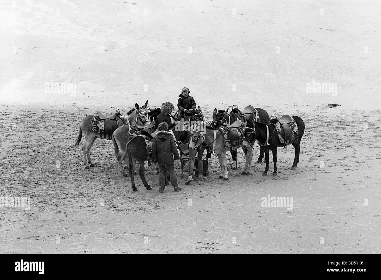 Donkeys on Blackpool Beach, UK, 1980s Stock Photo - Alamy